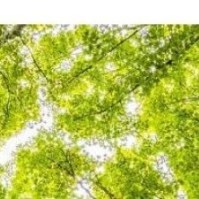 Vision without Sight: Monika Demonstrates the Power of Personal Agency ...